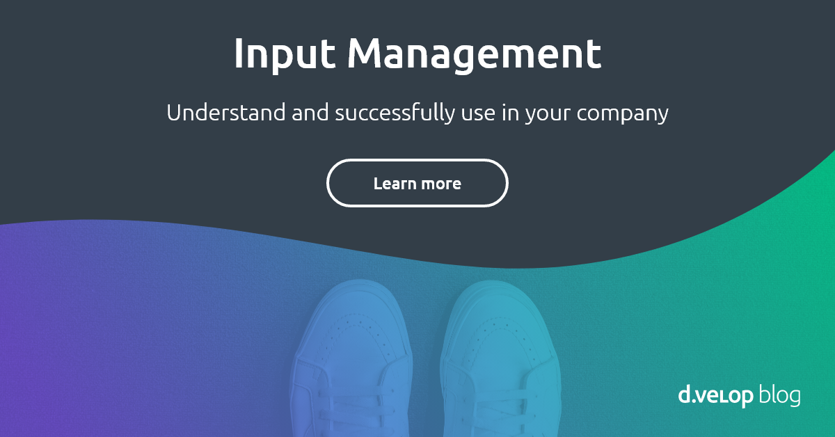 Understanding Input Management in Your Company | d.velop